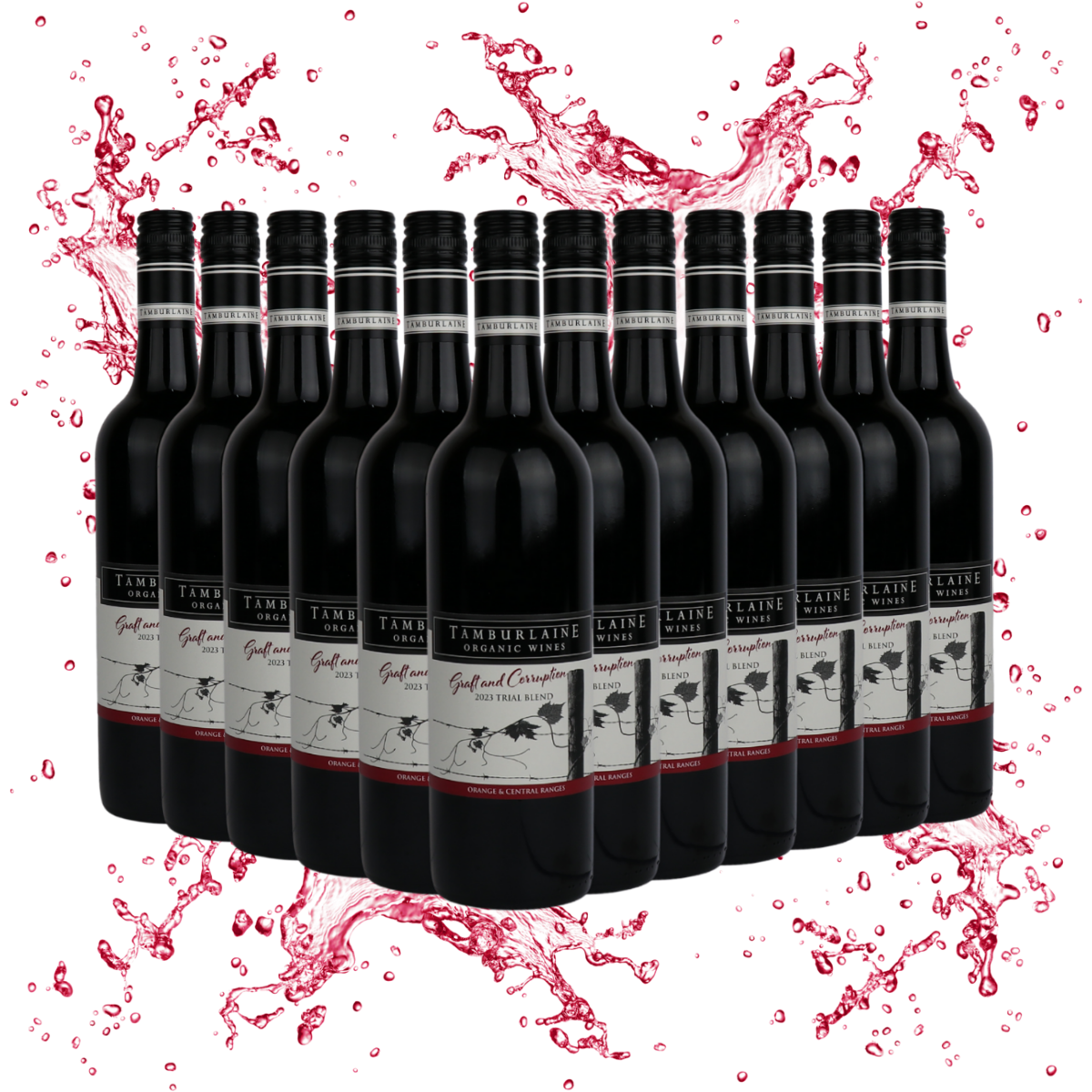 Mark Davidson Signature Series Trial Blend Dozen – Tamburlaine Organic ...